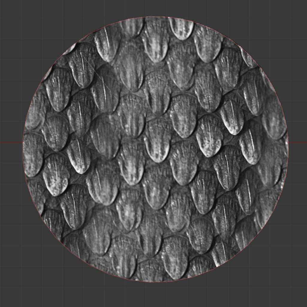 dragon texture brush