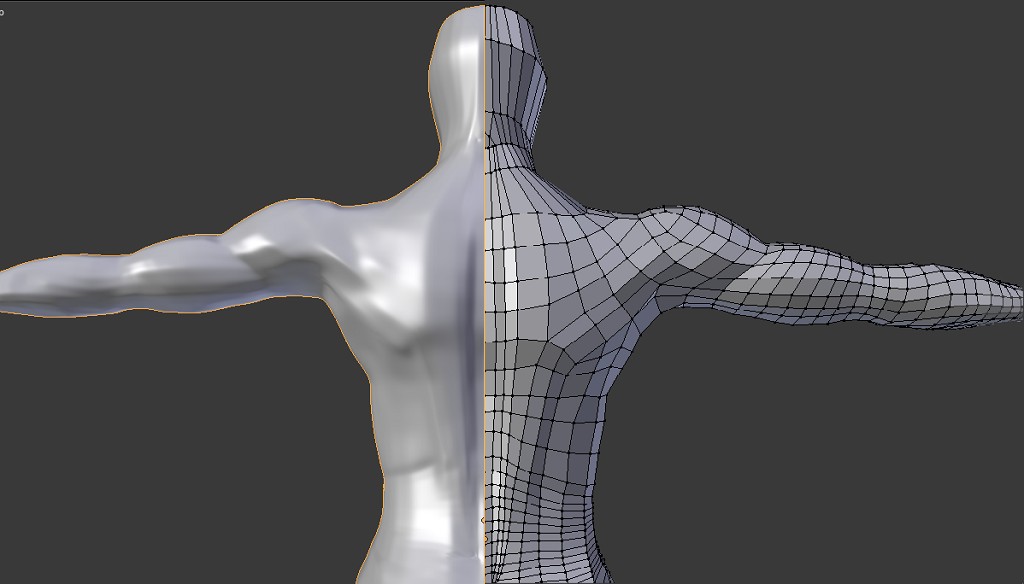 blender human torso