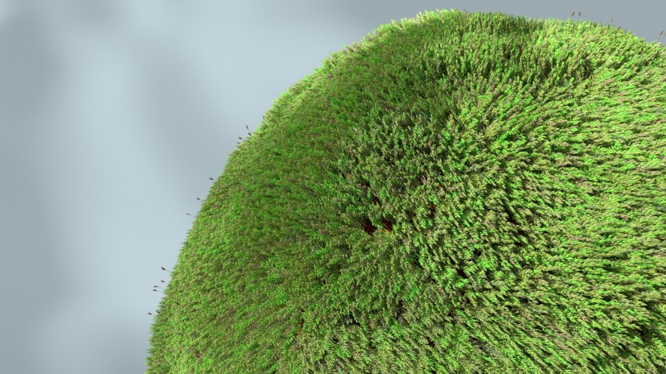 moss texture blender