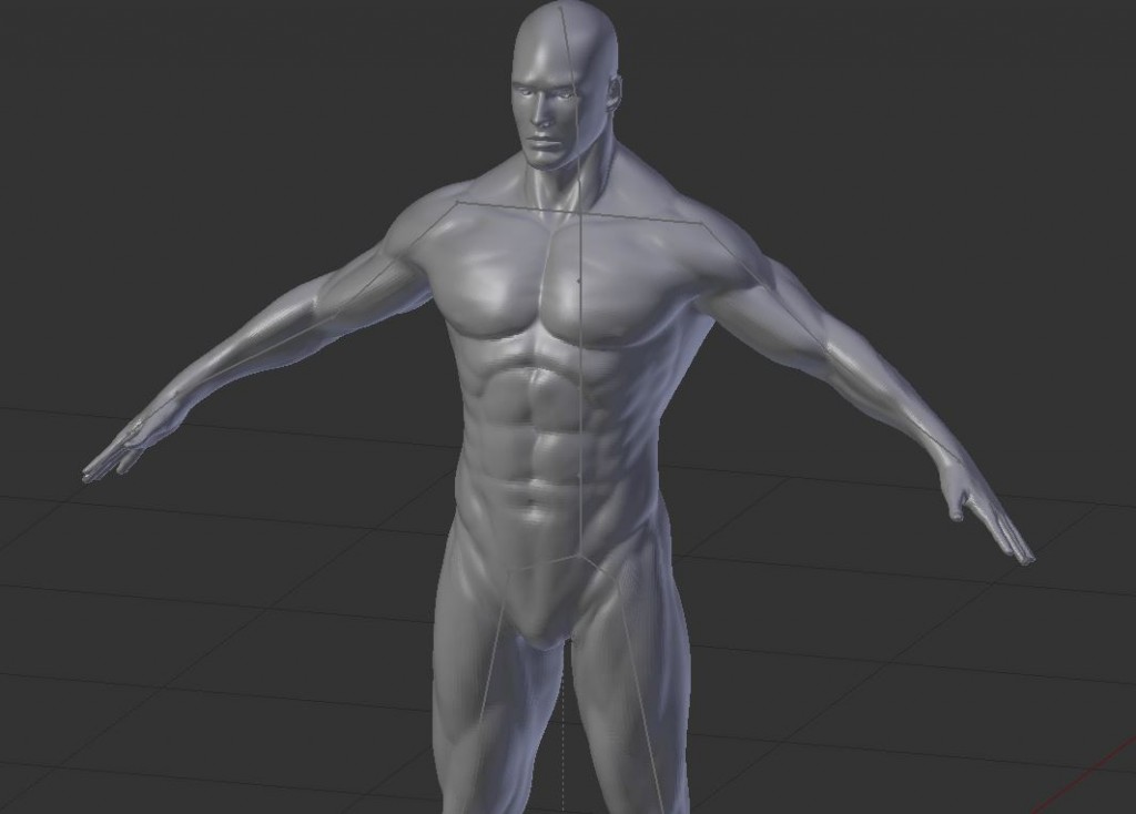 blender human torso