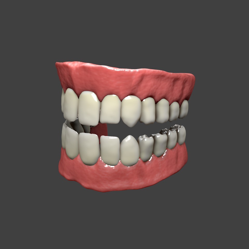 tooth texture 3d