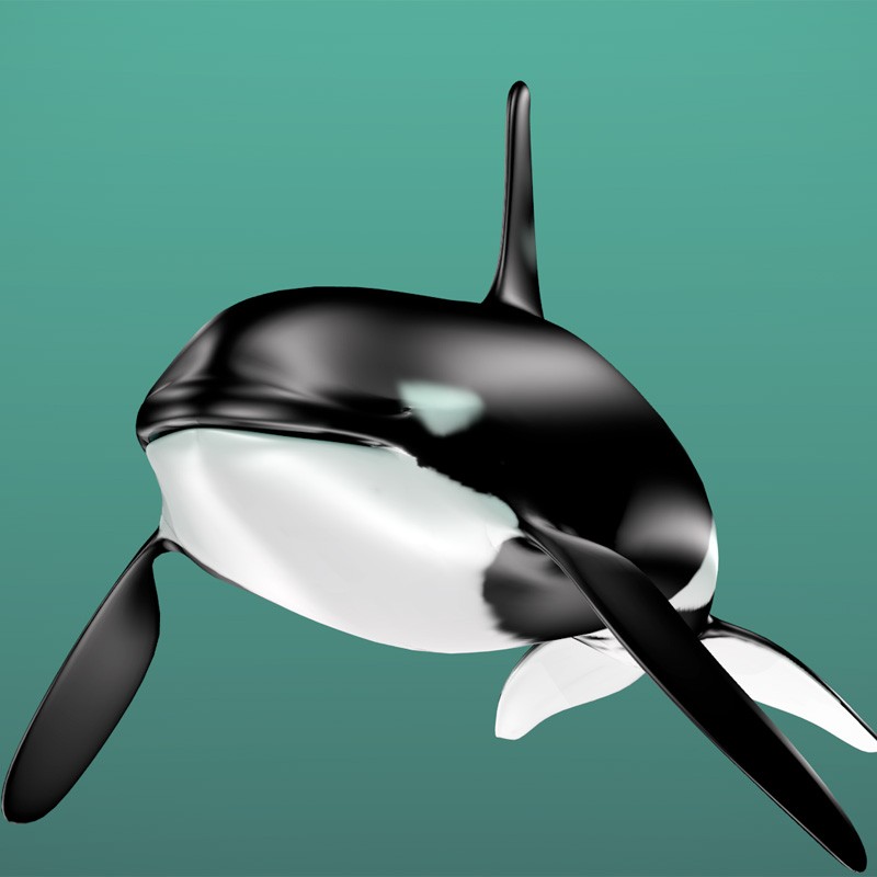 orca sketchfab